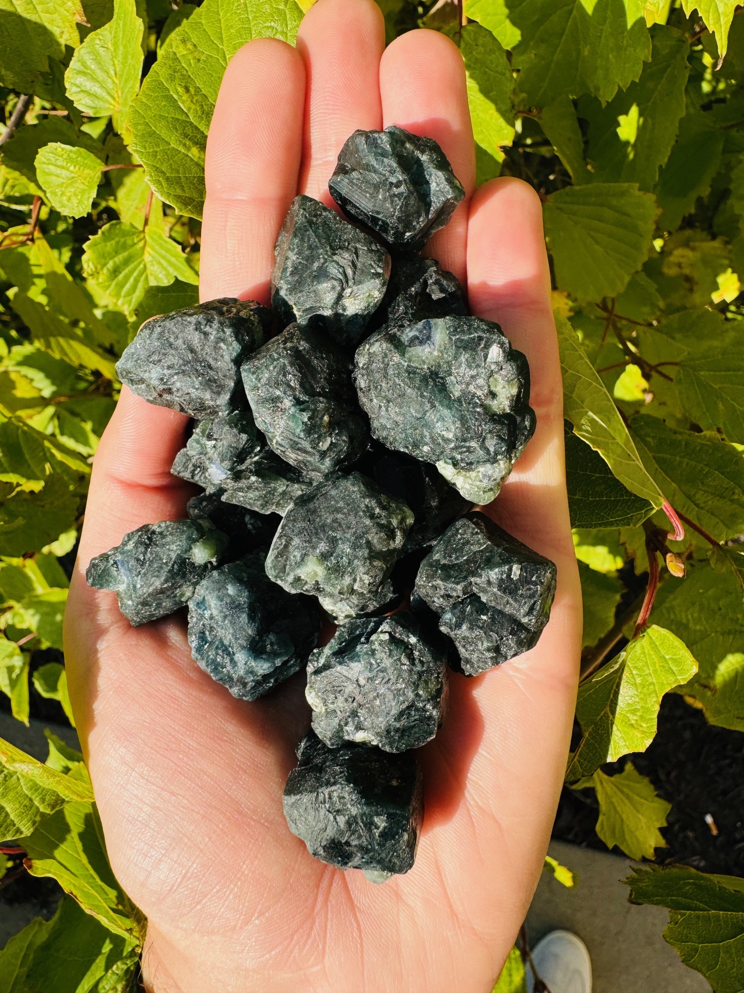 Blue Dravite - Rough Raw Natural - Awakenings