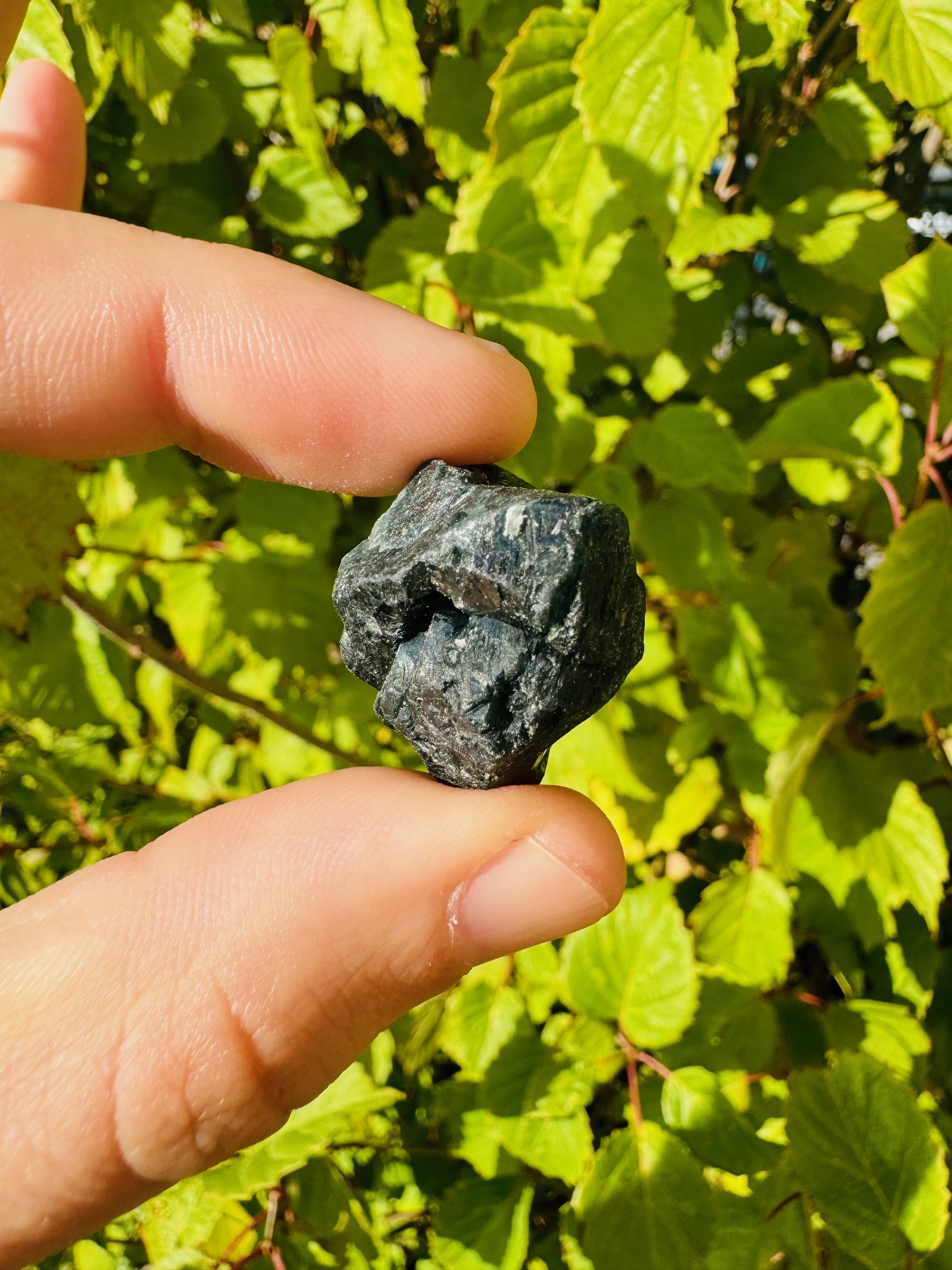 Blue Dravite - Rough Raw Natural - Awakenings