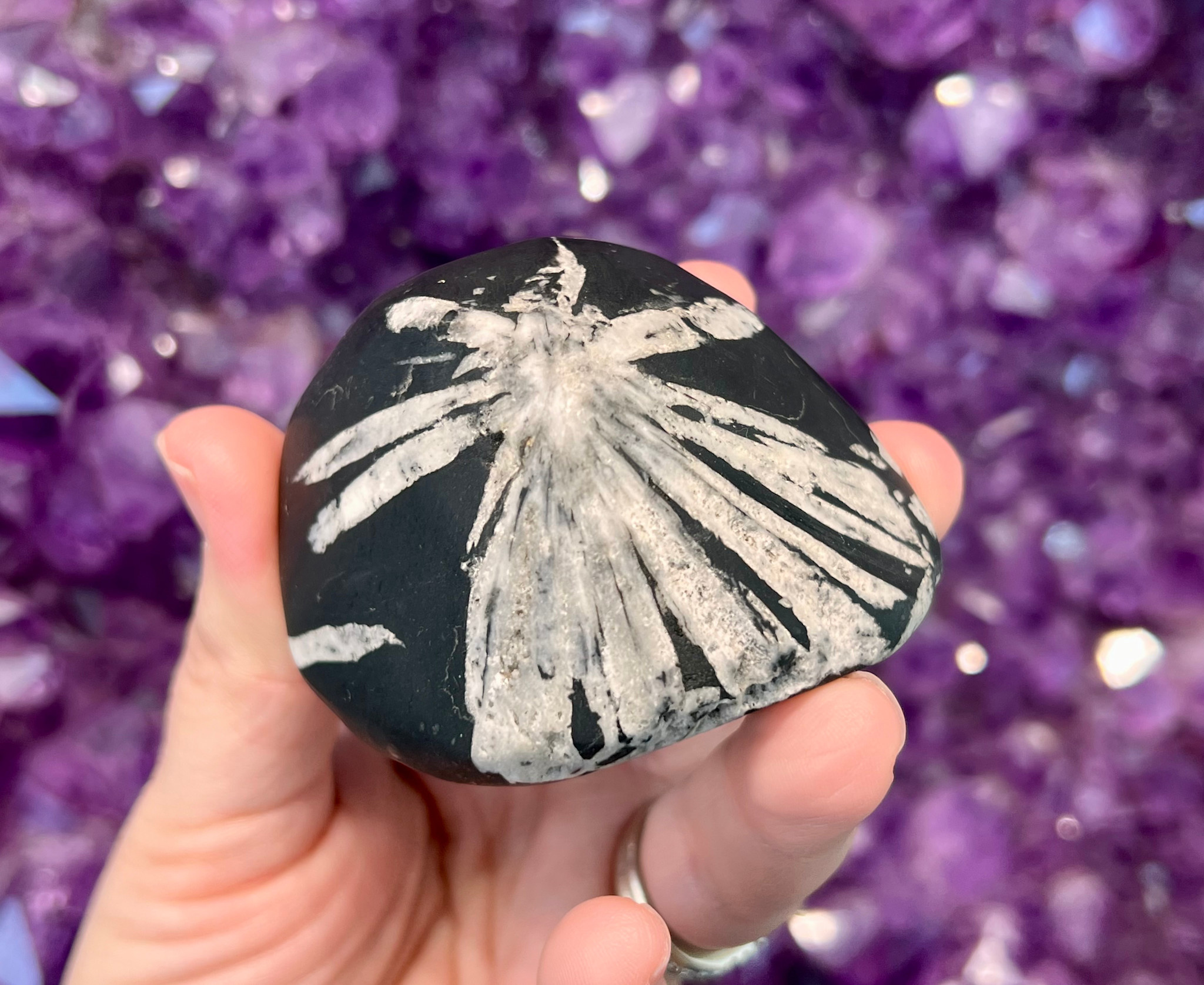 Chrysanthemum Stone - Rounded Point Mound Free Form 2" - Awakenings