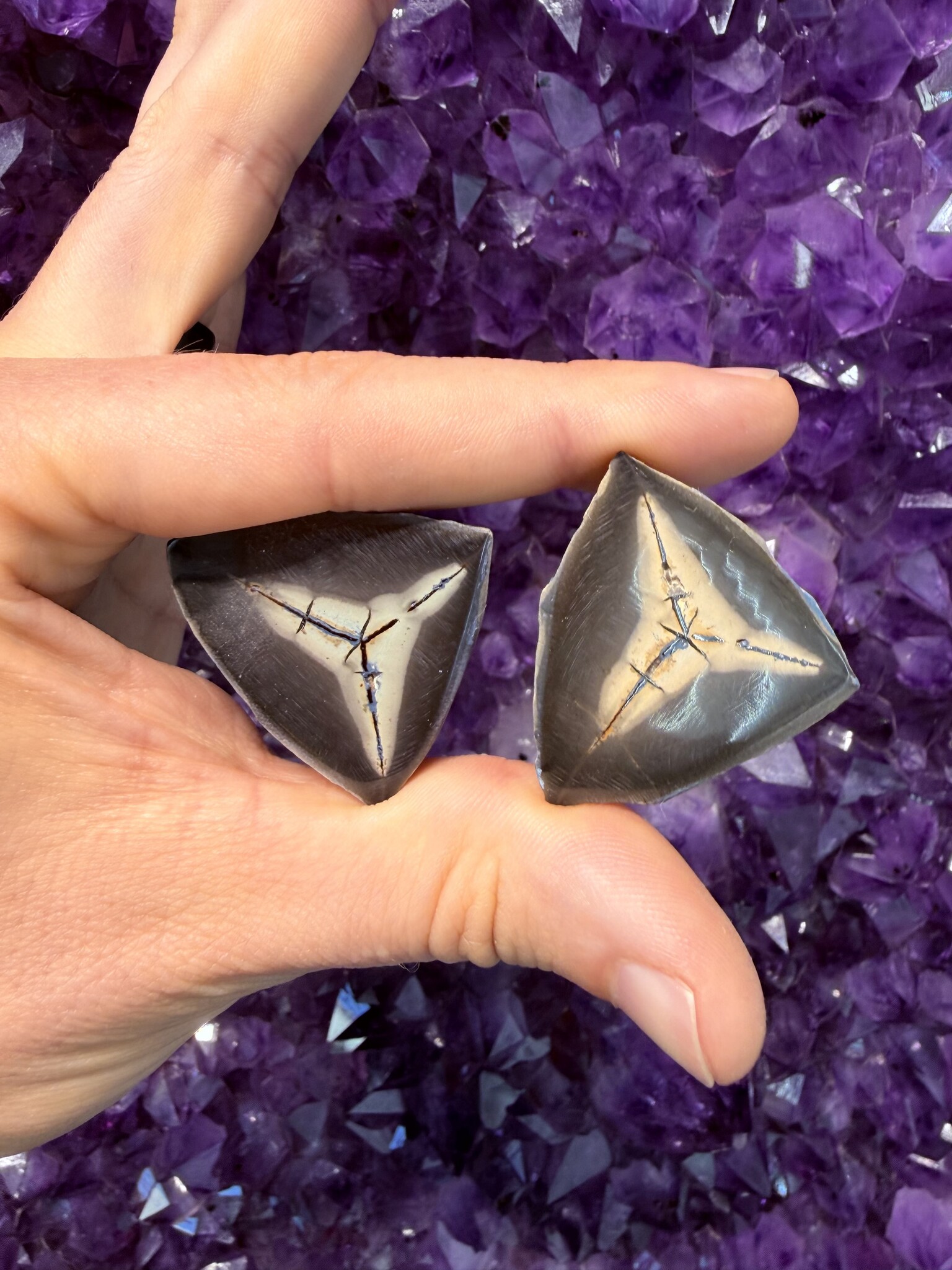 Septarian Nodule Pairs - A Grade Large - Rough Raw Natural - Awakenings