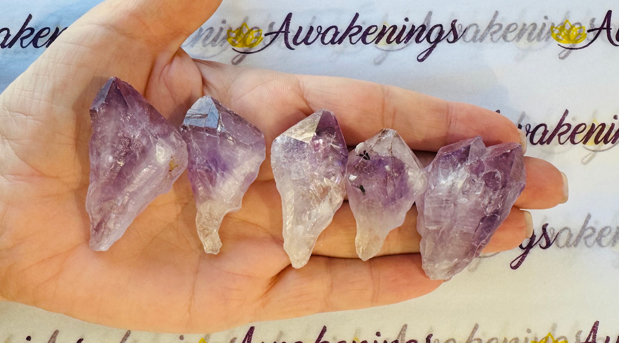 Amethyst Point (Dragons Tooth Teeth Root Elestial ) - Medium Rough Raw ...