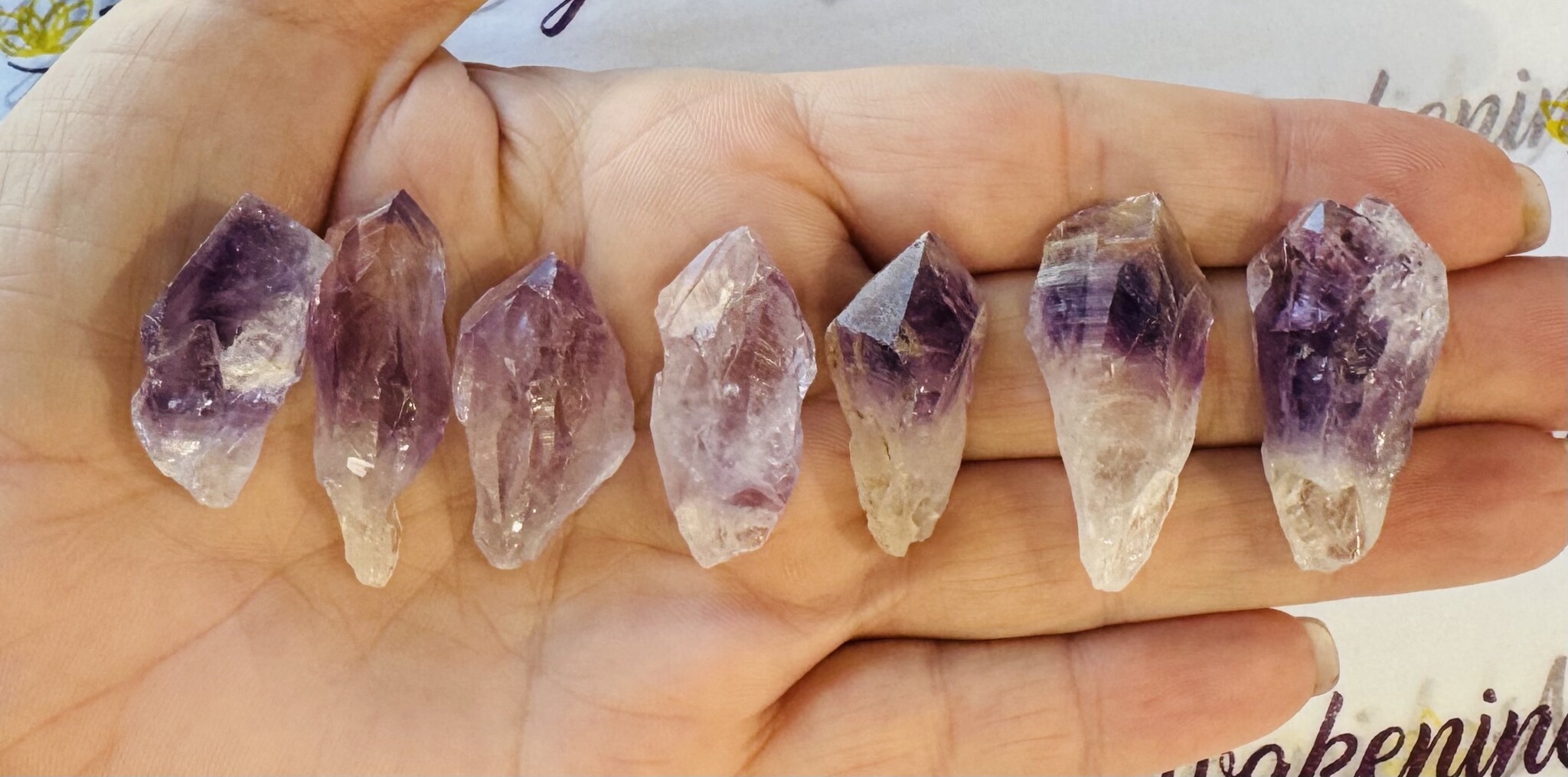Amethyst Point (Dragons Tooth Teeth Root) - Small Rough Raw Natural ...
