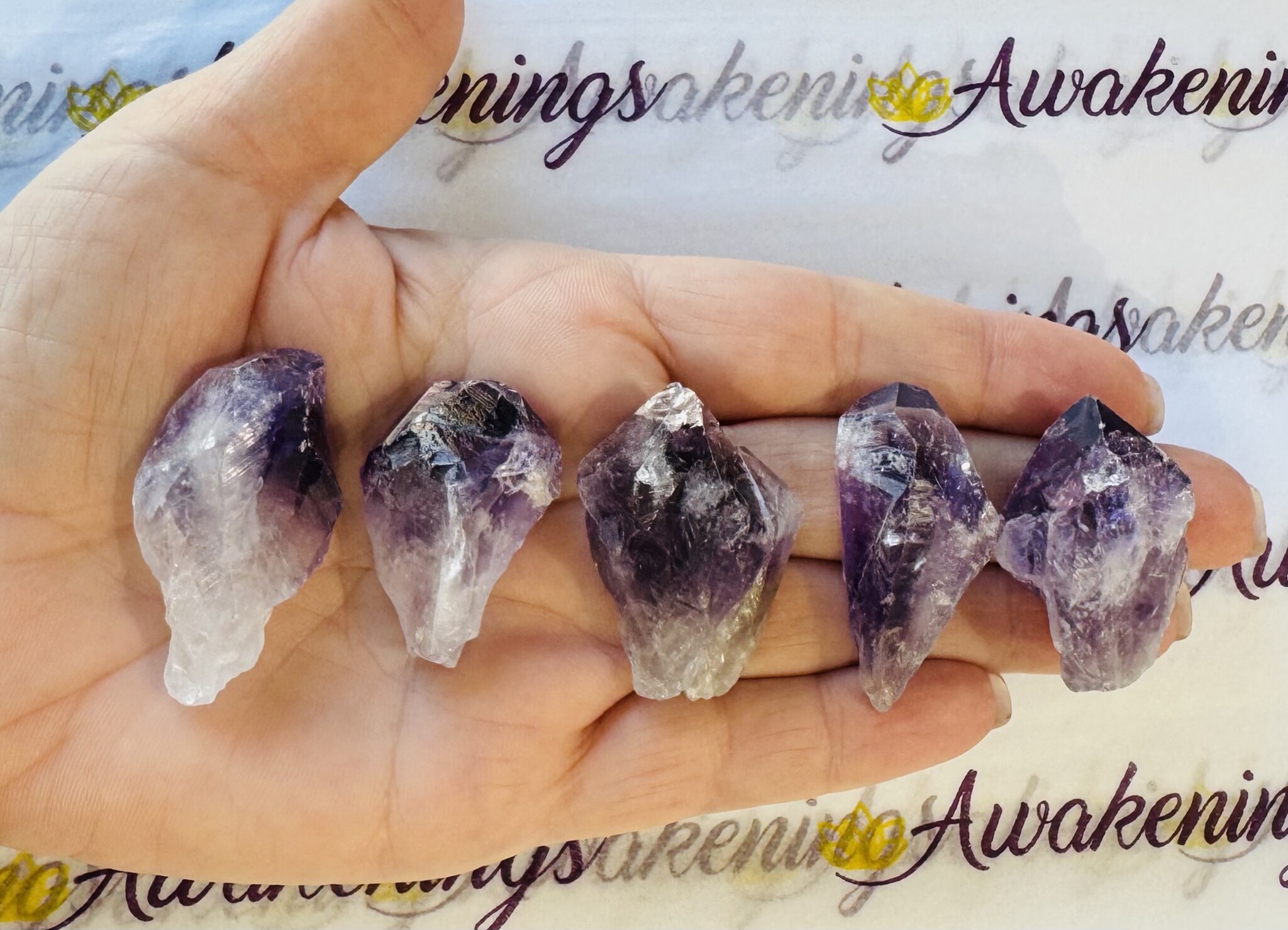 Dark Amethyst Point (Dragons Tooth Teeth Root Elestial ) - Medium Roug ...