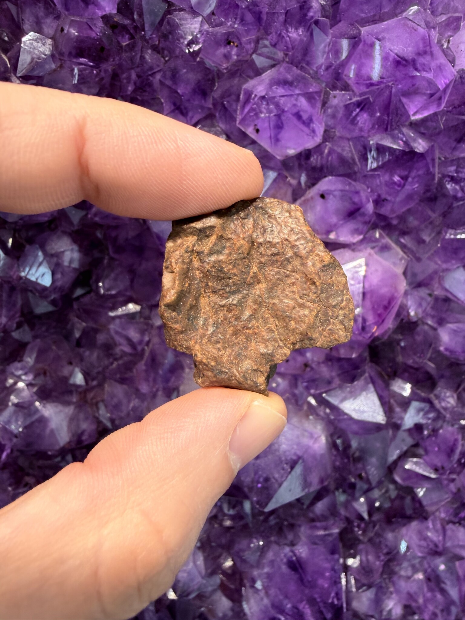 Northwest Stony Iron Meteorite - Rough Raw Natural - Awakenings