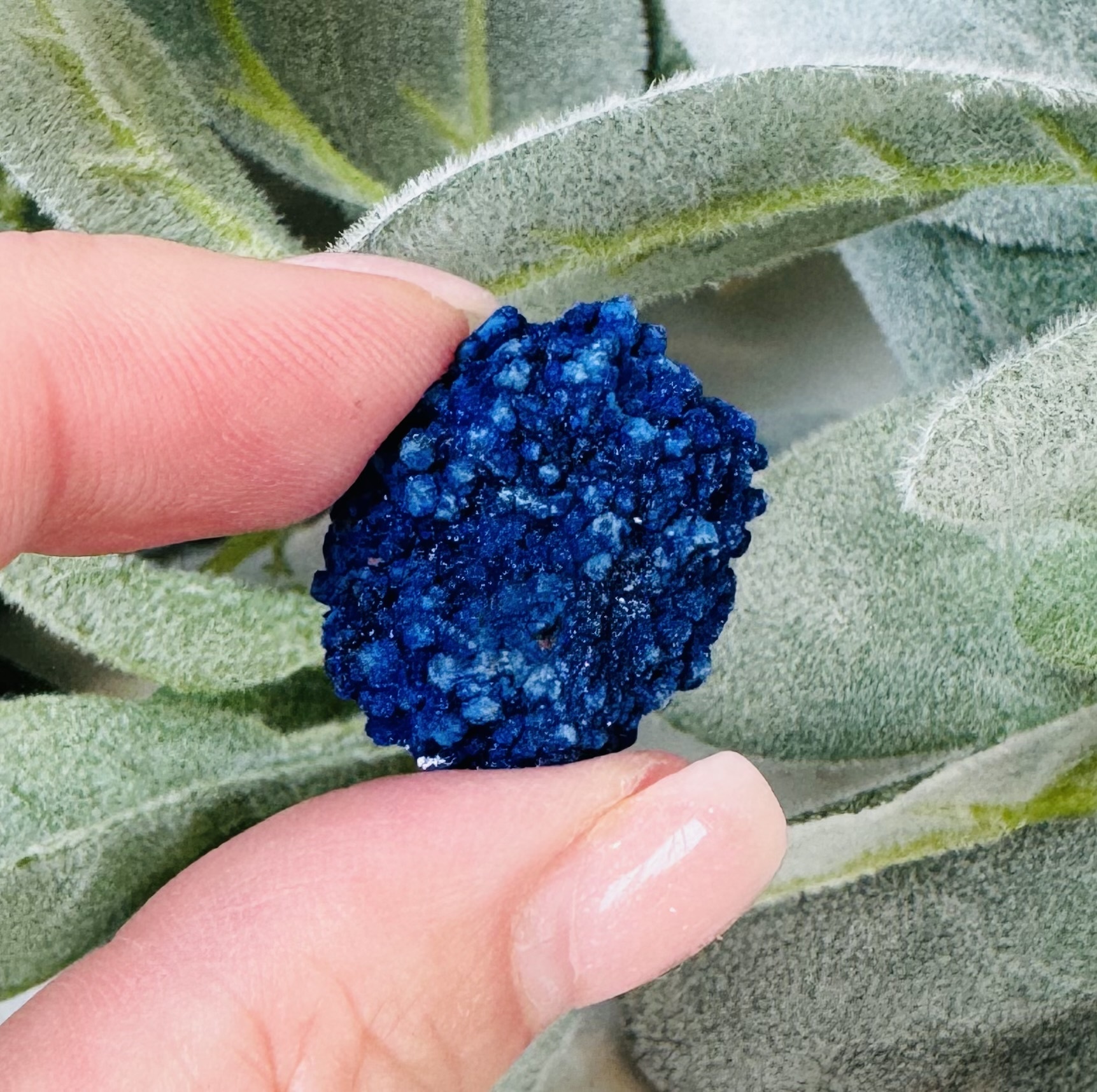 Azurite Small (AA Grade) - Rough Raw Natural - Awakenings