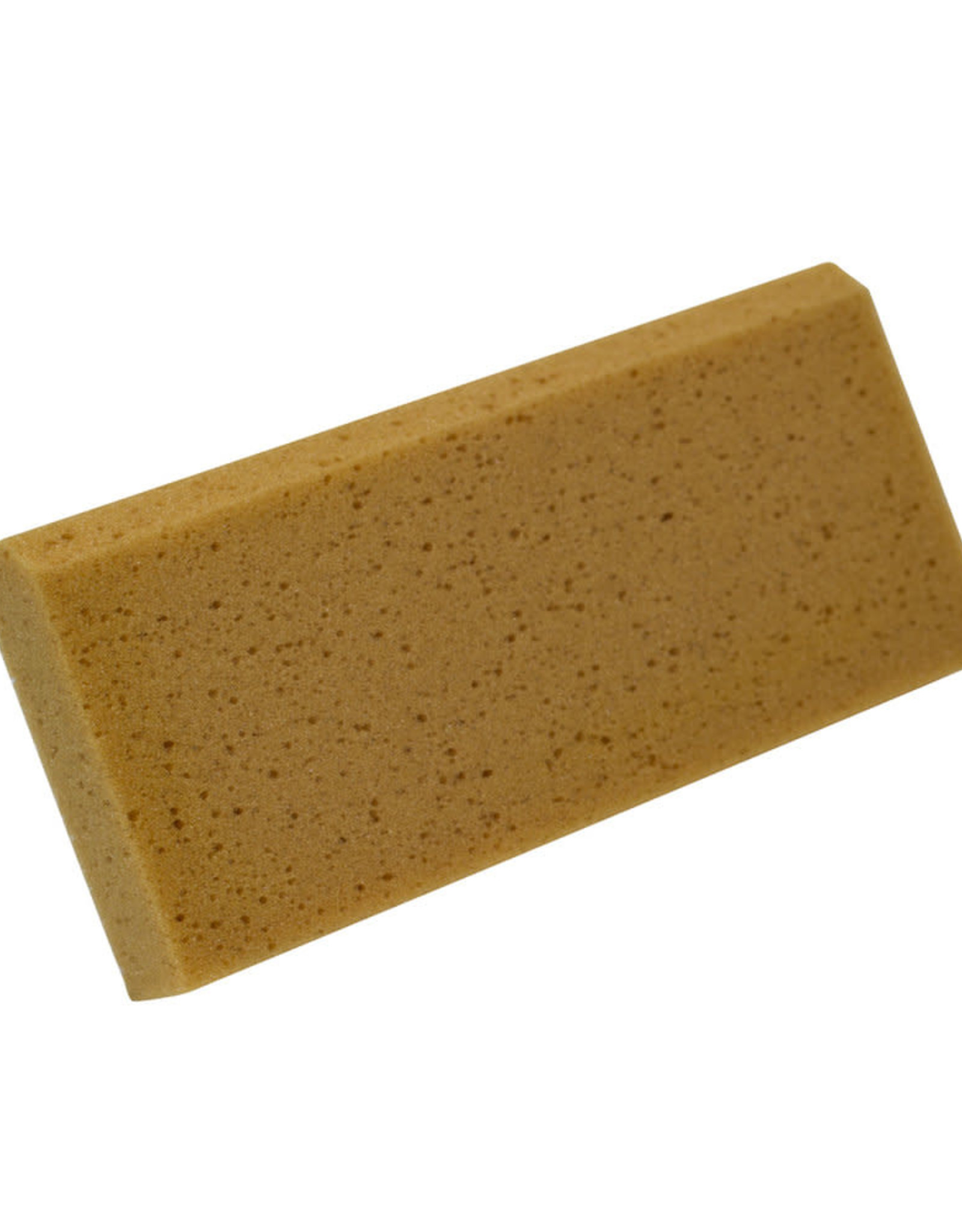 Sponge Float - Painted Earth