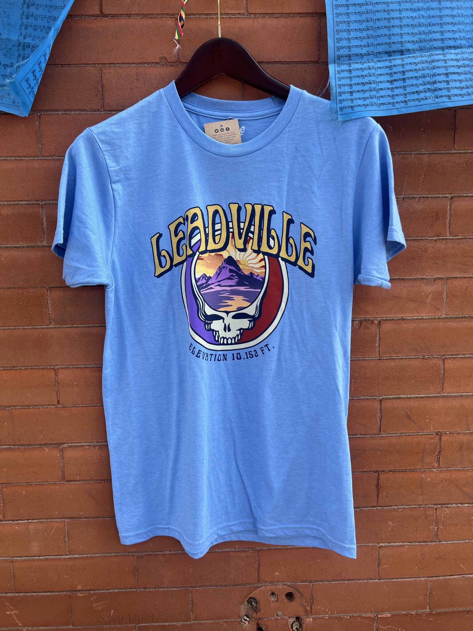 Heedless Skull T - Leadville Outdoors and Mountain Market