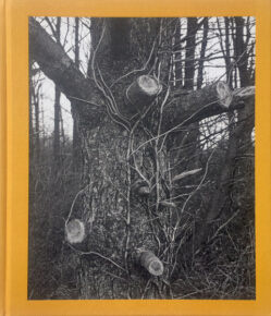 Tim Carpenter: Christmas Day, Bucks Pond - International Center of ...