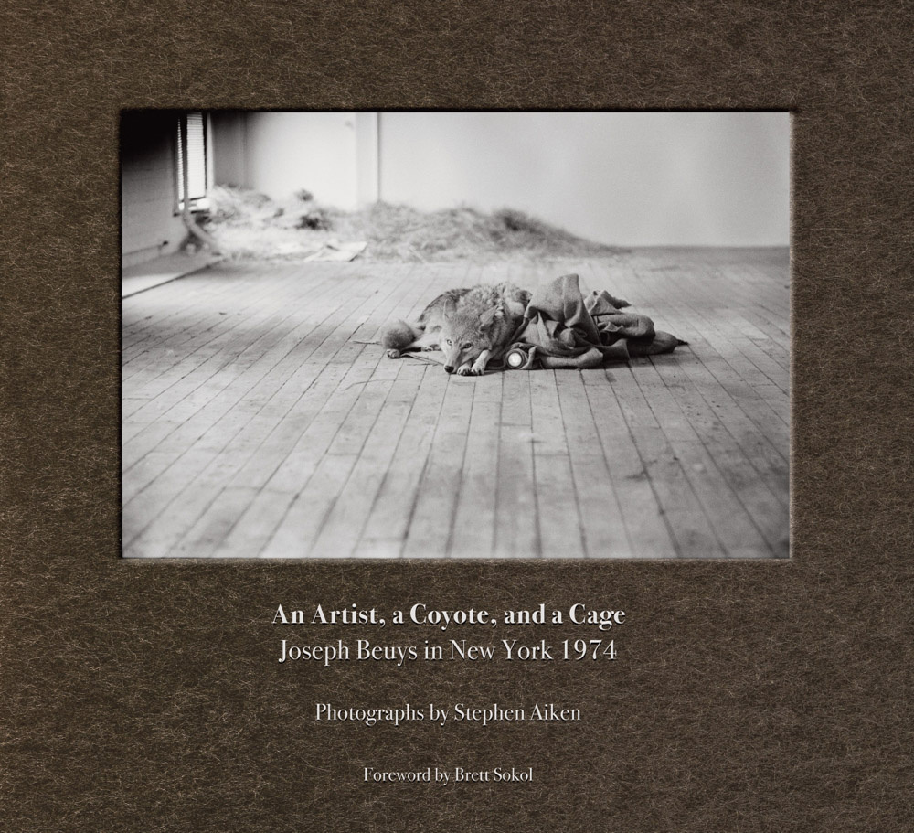 Stephen Aiken: An Artist, a Coyote, and a Cage - International Center ...