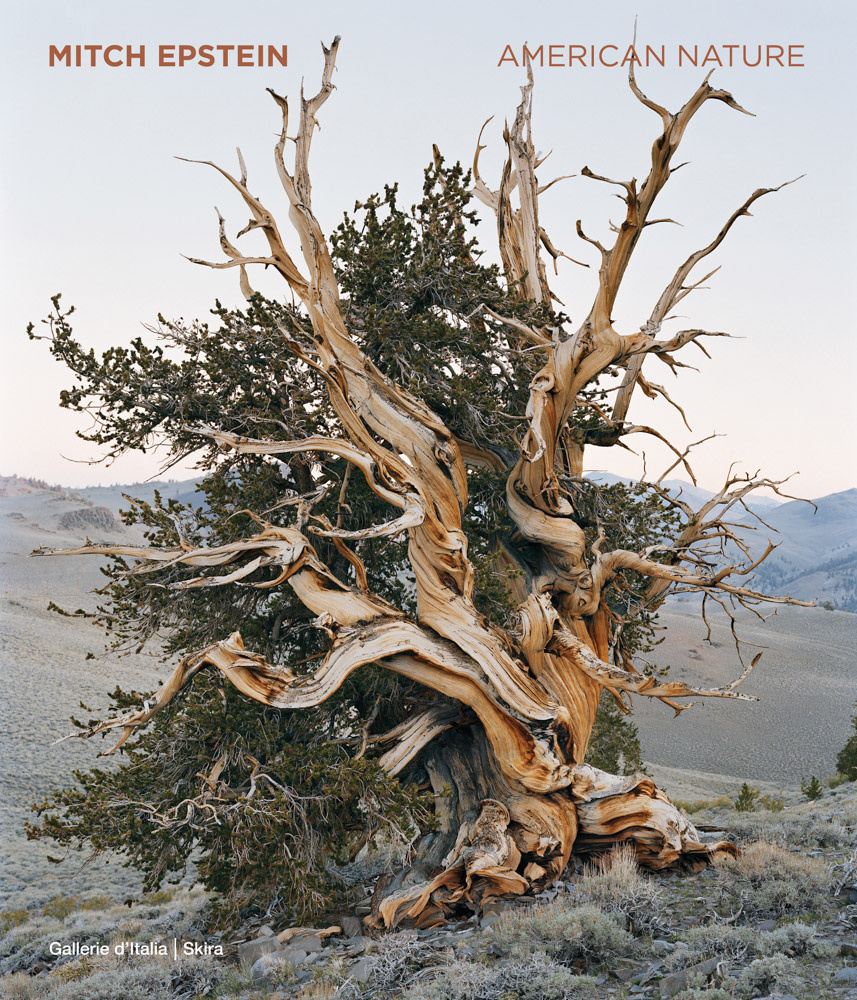 Mitch Epstein: American Nature - International Center of Photography