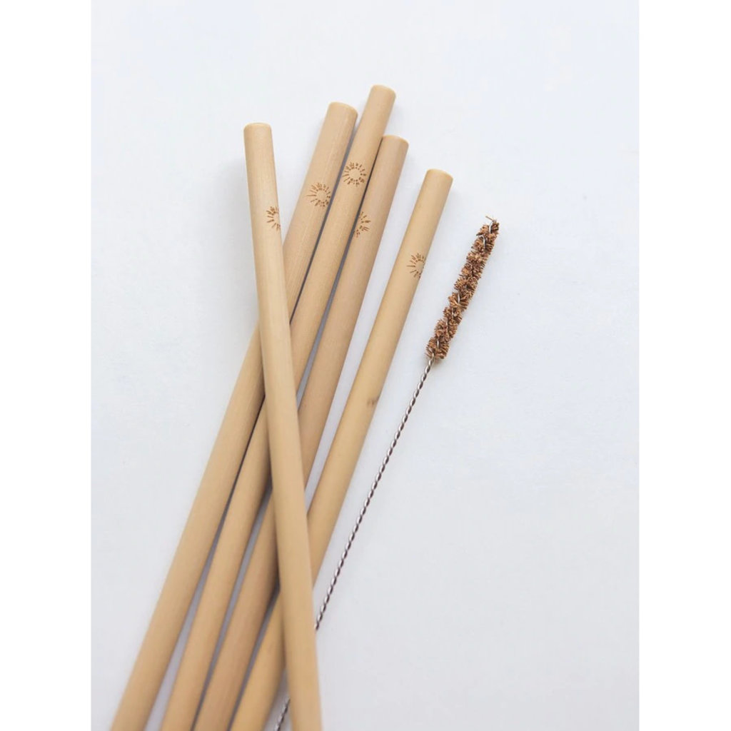 Sustainable Bamboo Reusable Straw Set - Global Gifts