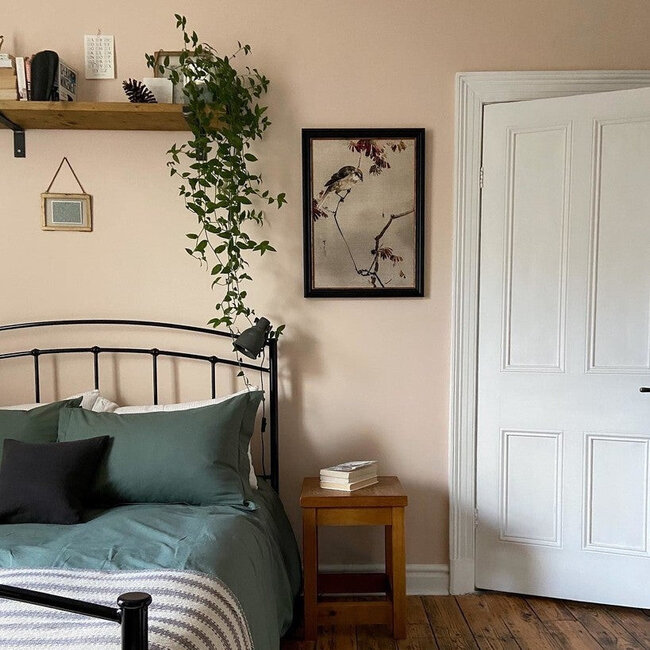 Pink Ground No. 202 | Farrow & Ball Handcrafted Paint - Carbon Boutique