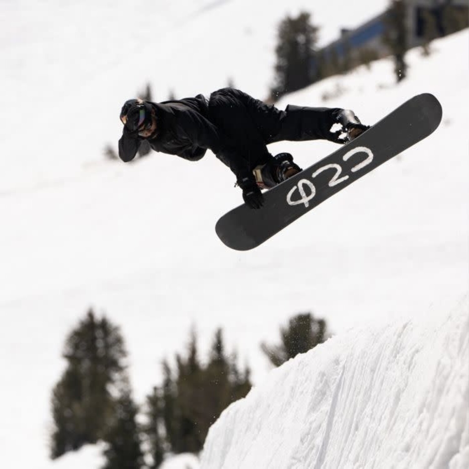Gnu Facts 2026 - The Drop Rideshop