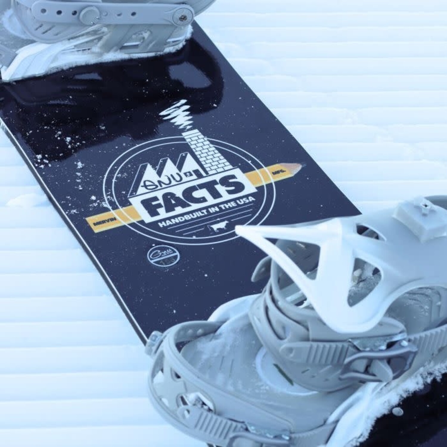 Gnu Facts 2026 - The Drop Rideshop