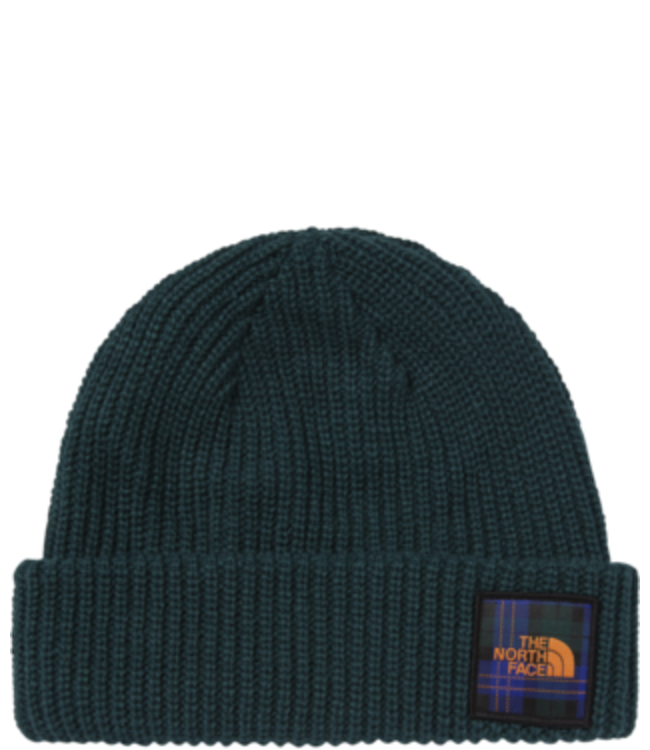 TOQUE TNF SALTY DOG BEANIE - Seasons Outdoors