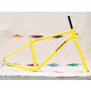 Bassi Coyote Frame and Fork - C&L Cycles