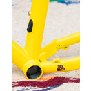 Bassi Coyote Frame and Fork - C&L Cycles