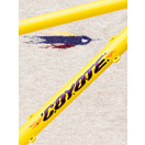 Bassi Coyote Frame and Fork - C&L Cycles