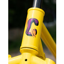 Bassi Coyote Frame and Fork - C&L Cycles