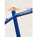 Bassi Coyote Frame and Fork - C&L Cycles