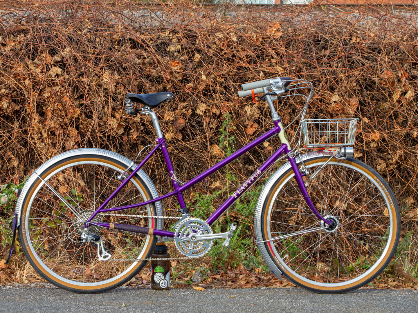 Latest Builds - Liz's Purple Platypus - C&L Cycles