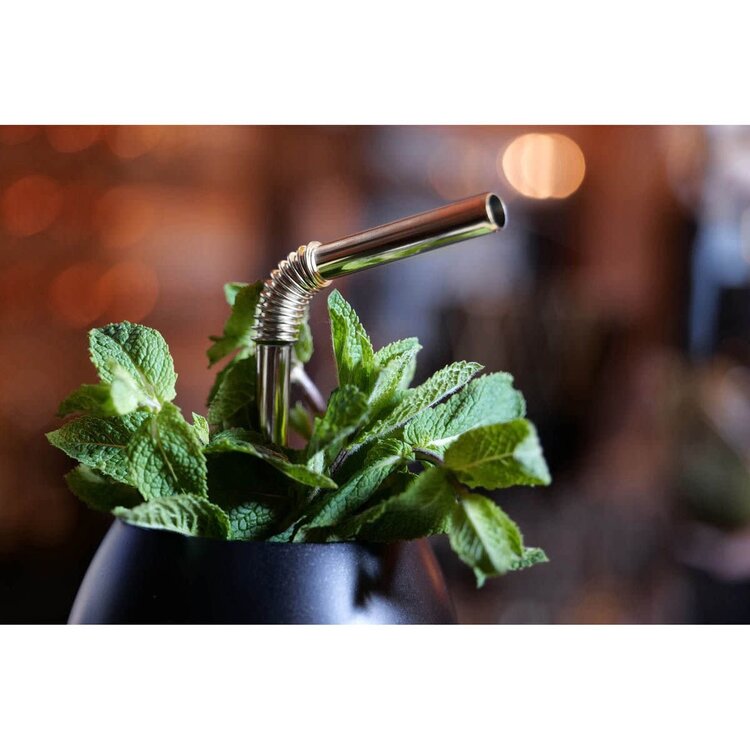 straws s/4, metal bendable - Whisk