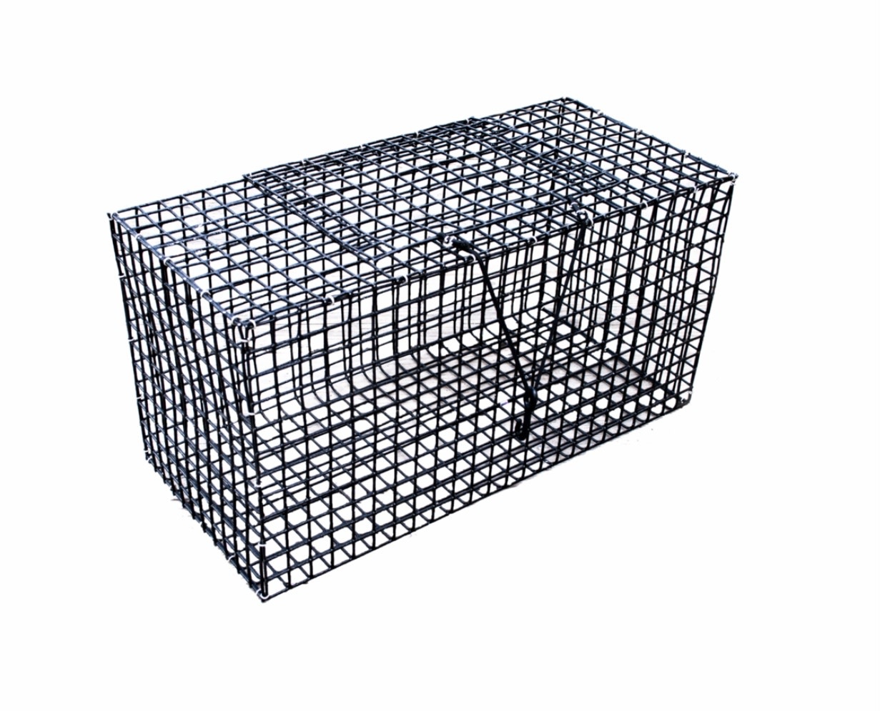 Joy Fish Fish Pen 24" X 12" X 11" Vinyl Wire | FLFO - Florida Fishing ...