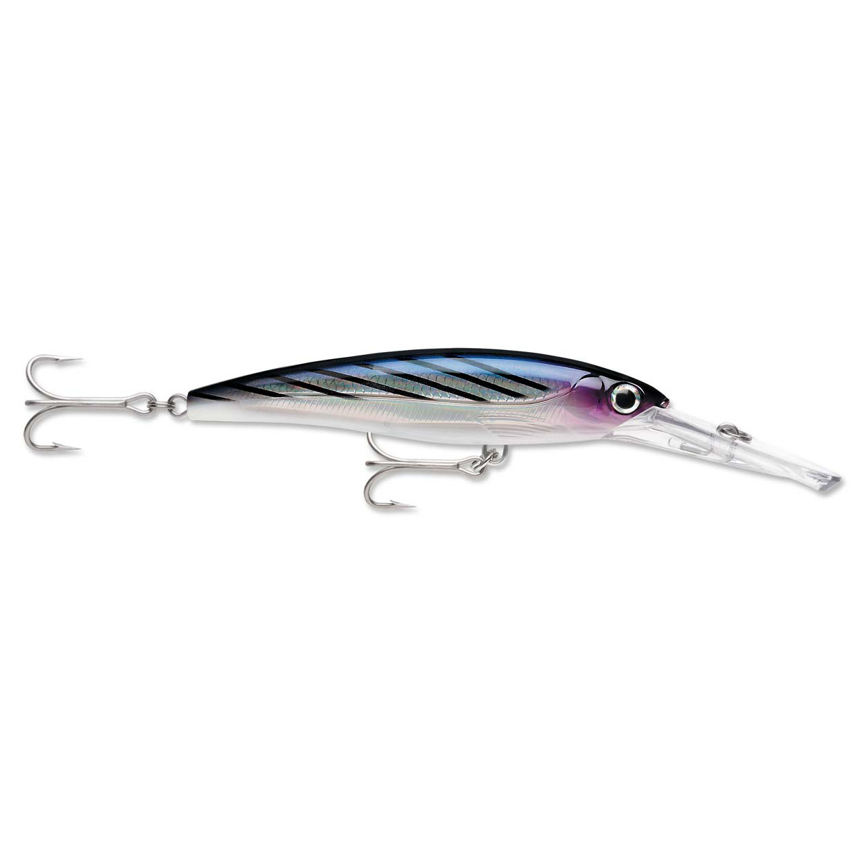 Rapala X-Rap Magnum 30 | Florida Fishing Outfitters - Florida Fishing ...
