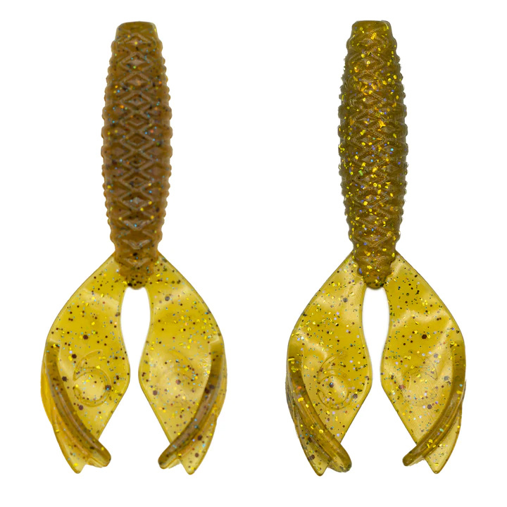 6th Sense Bongo | Florida Fishing Outfitters - Florida Fishing ...