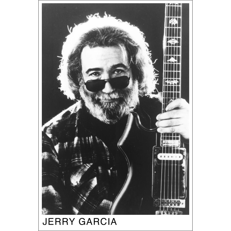 Greateful Dead - Jerry Garcia - 6 String Poster 24" x 26" - Mushroom ...