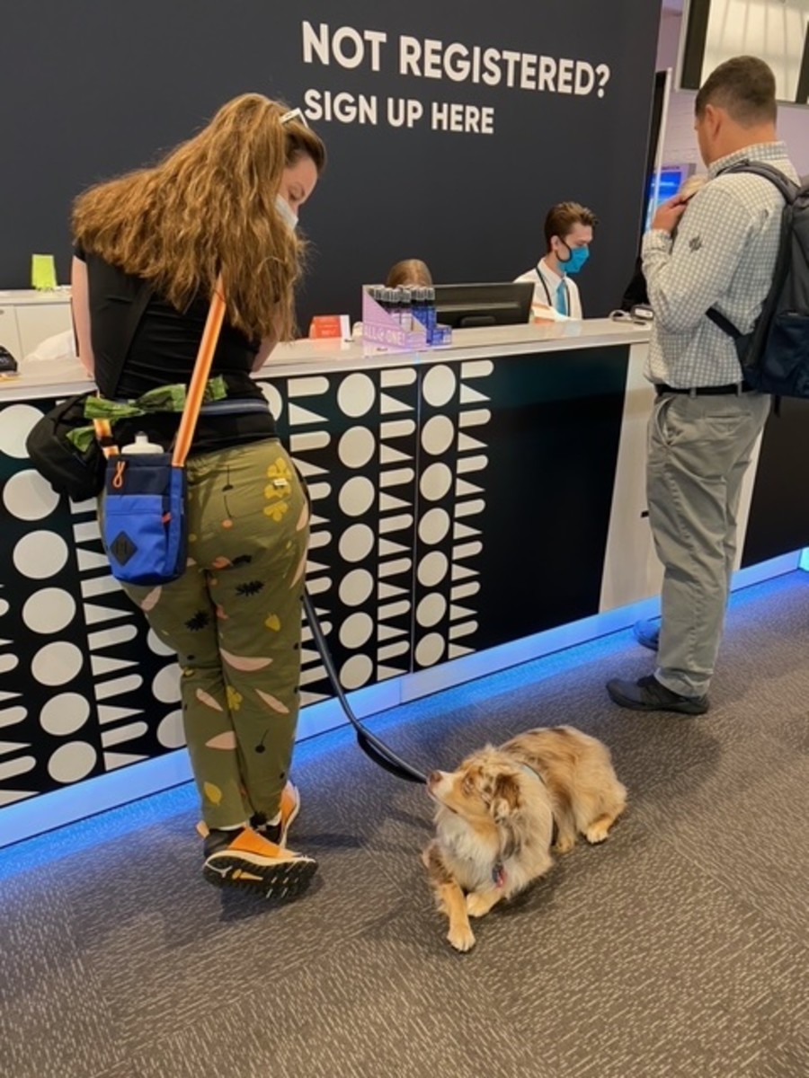 Twisted Tree - Twisted Tree