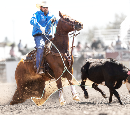 ROPES - Frontier Western Shop