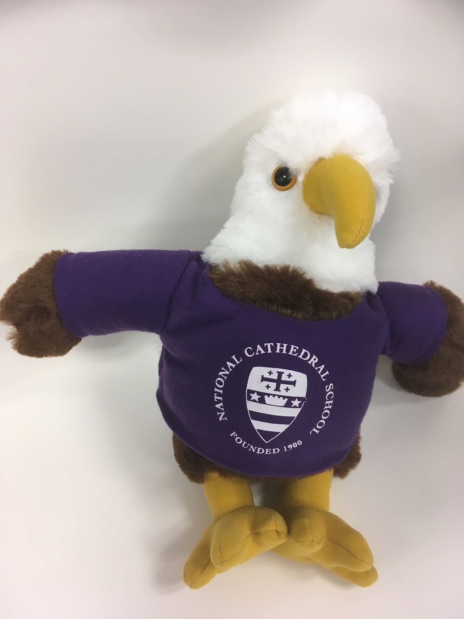 EAGLE TEE SHIRT - National Cathedral School Store