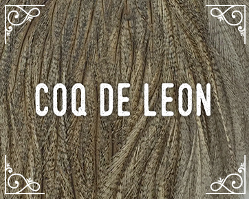 Coq-De-Leon - Great Feathers