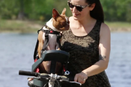 Buddy Rider - Fairfield Bicycle Shop LTD.