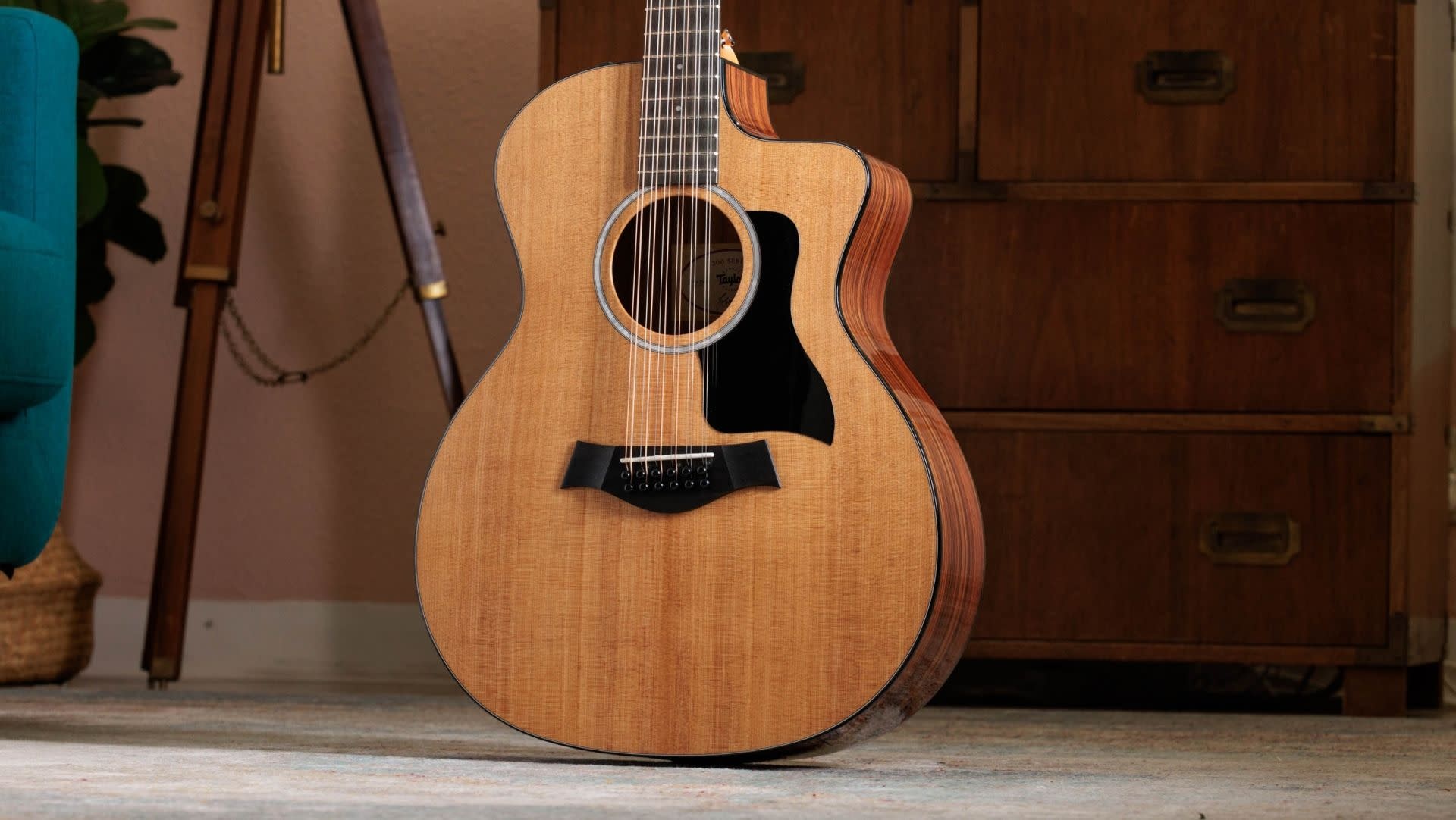Taylor 254ce Plus 12 String - KAOS Music Centre