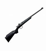 Cricket Rifle .22LR Package - Preeceville Archery Products