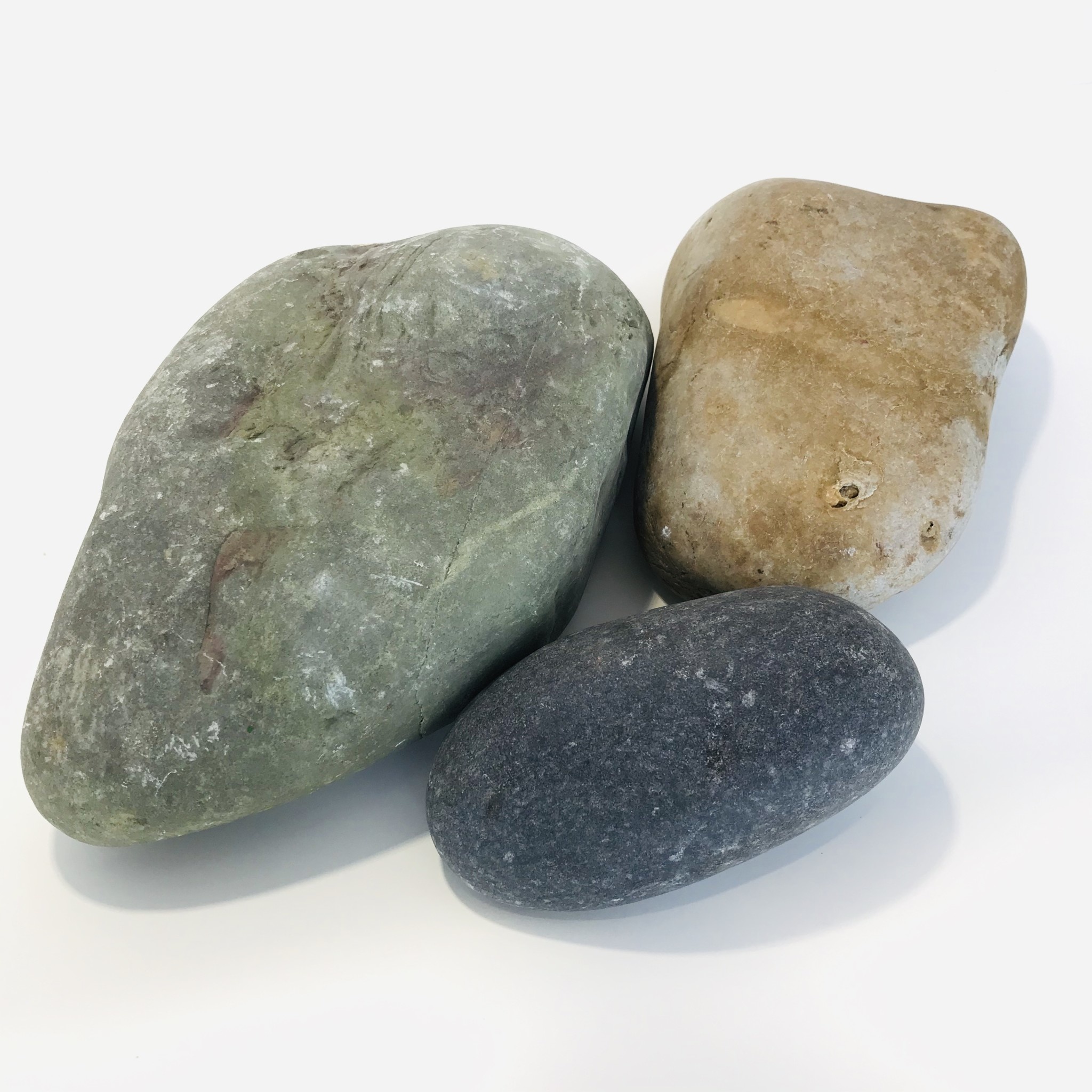 Creekstone - Fish Gallery