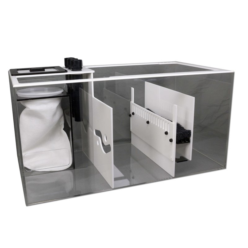 Sumps - Fish Gallery