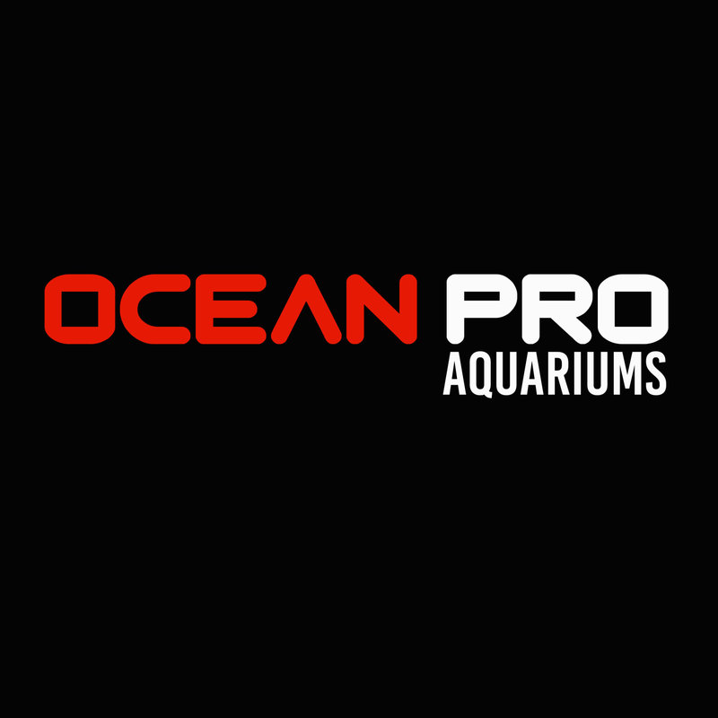Ocean PRO Aquariums - Fish Gallery
