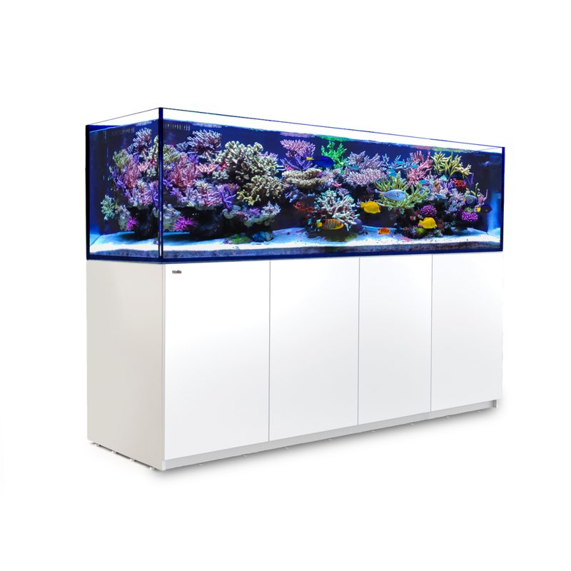 Collection - Fish Gallery