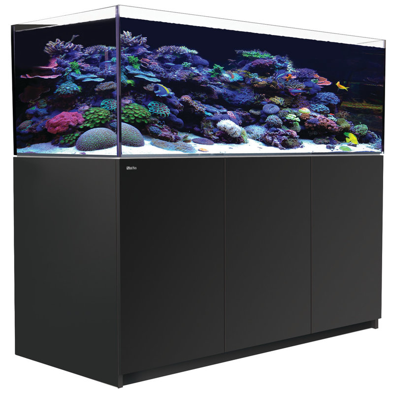 Collection - Fish Gallery
