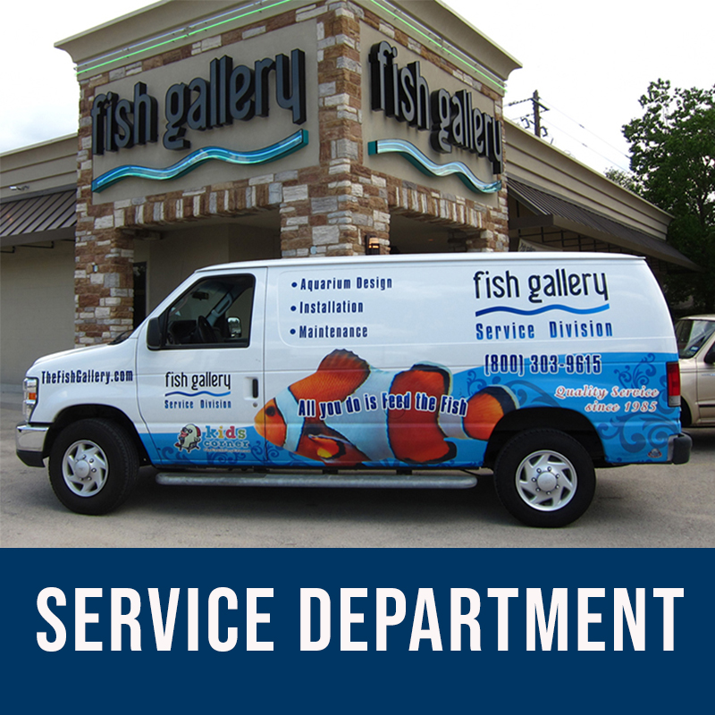 Fish Gallery - Fish Gallery