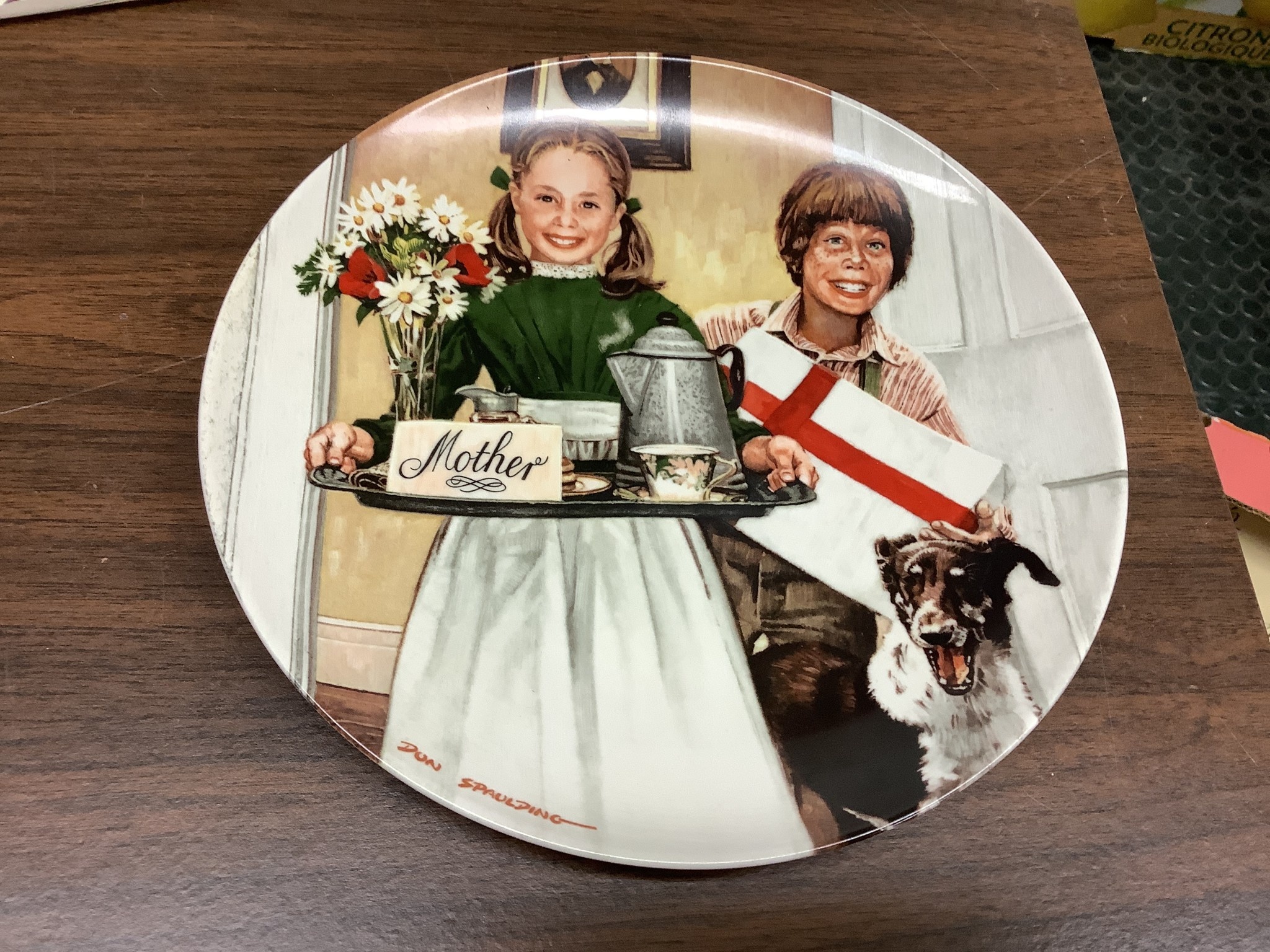 The Bradford Exchange Collectors Plate ?Mother?s Day? Bradex-No. 84-K41-2.7 - D3 Surplus Outlet