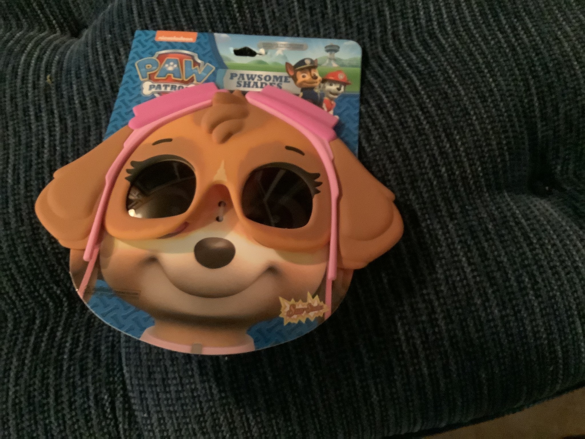 Paw Patrol Pawsome Shades - D3 Surplus Outlet