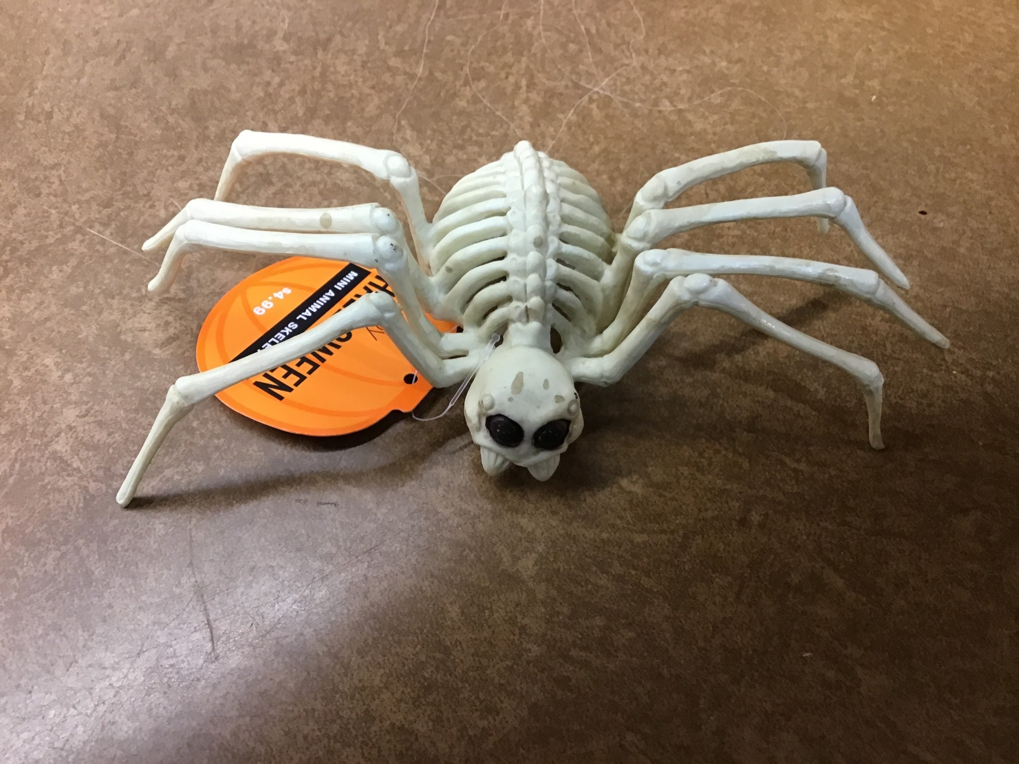 Happy Halloween- Mini Spider Skeleton decor - D3 Surplus Outlet