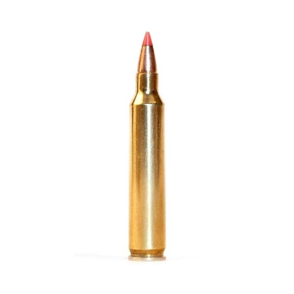 Centerfire Ammunition - Backcountry Supplies