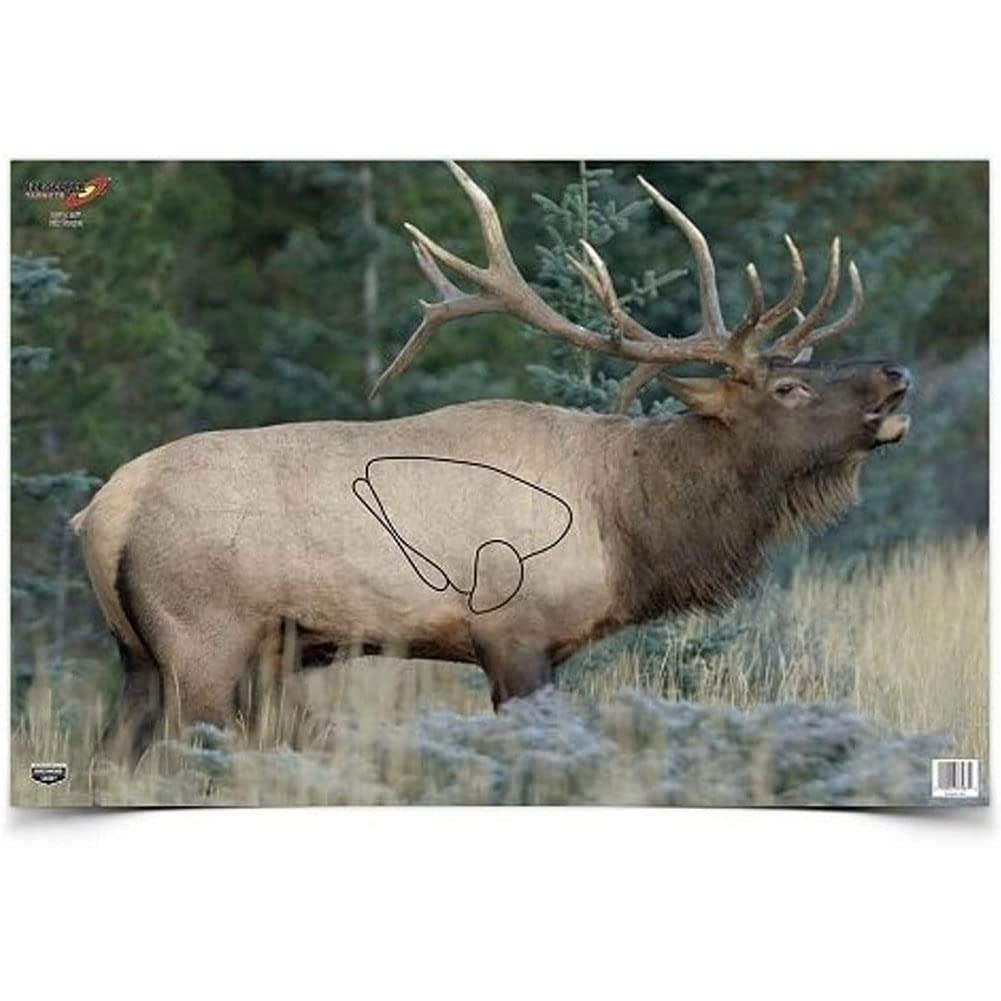 Birchwood Eze Scorer Elk Target 23"x35" 2 pk - Backcountry Supplies