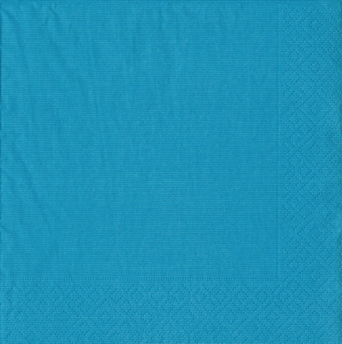 Caspari Paper Dinner Napkins 20ct Grosgrain Turquoise - Digs N Gifts