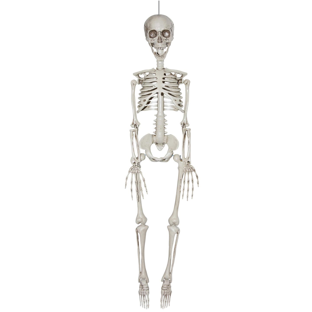 Darice Halloween Hanging Skeleton Bones Decoration 7x35 Inch - Digs N Gifts